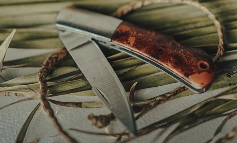 15+ Pocket Knife Blade Shapes: A Detailed Breakdown