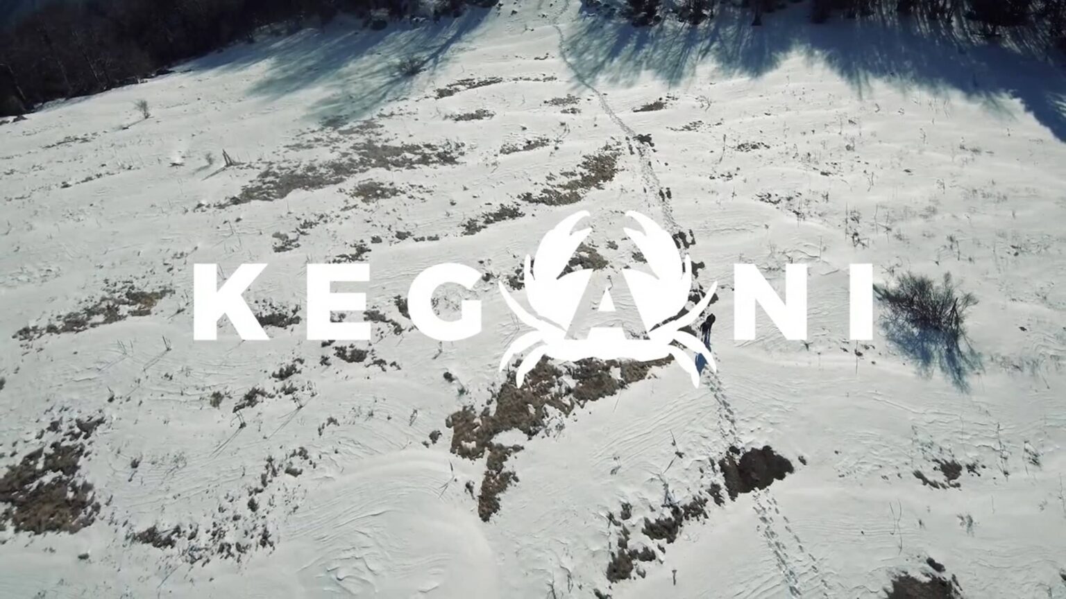 ZDP 189 Steel: A Essential Guide 2024 - Kegani Knives