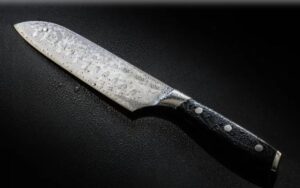 Nitro V Steel Guide: Composition, Performance & Comparisons - Kegani Knives